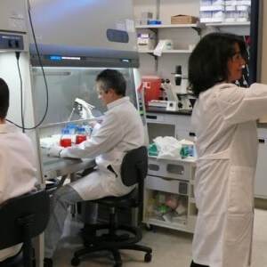 Extramural Grants Programs - New York Stem Cell Foundation