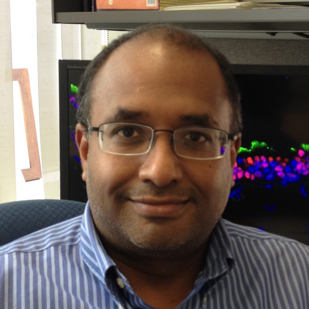 Jay Rajagopal, MD - New York Stem Cell Foundation