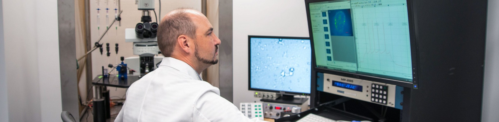 Stem Cell Glossary - New York Stem Cell Foundation