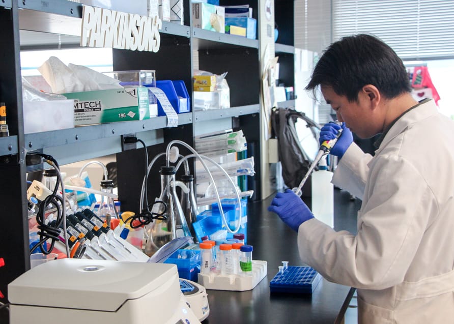 Understanding Stem Cell Treatments - New York Stem Cell Foundation
