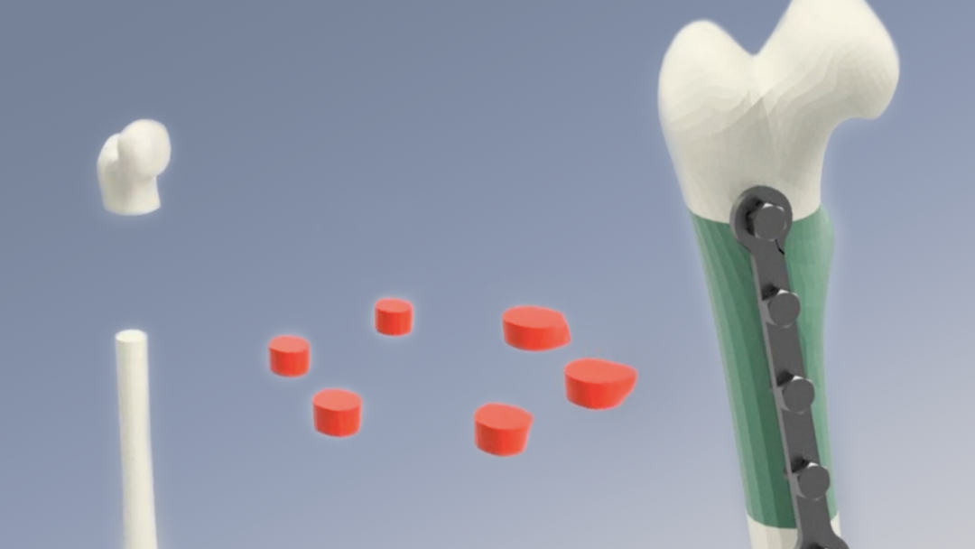 Bone & Tissue Engineering Research - New York Stem Cell Foundation