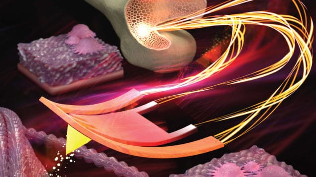 Bone & Tissue Engineering Research - New York Stem Cell Foundation