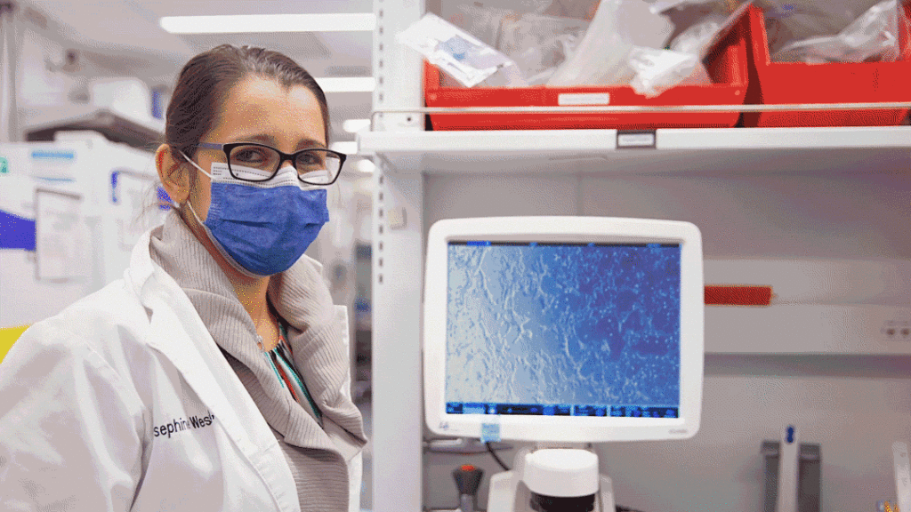 Students Explore Gene Editing and Careers in STEM - New York Stem Cell ...