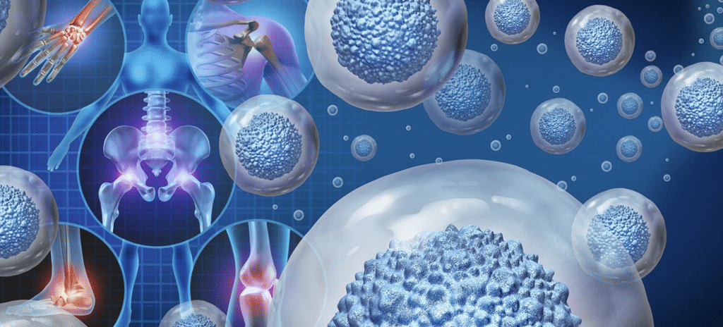 How the Body’s ‘Zip Code’ Proteins Help Heal Our Bones As We Age - New ...