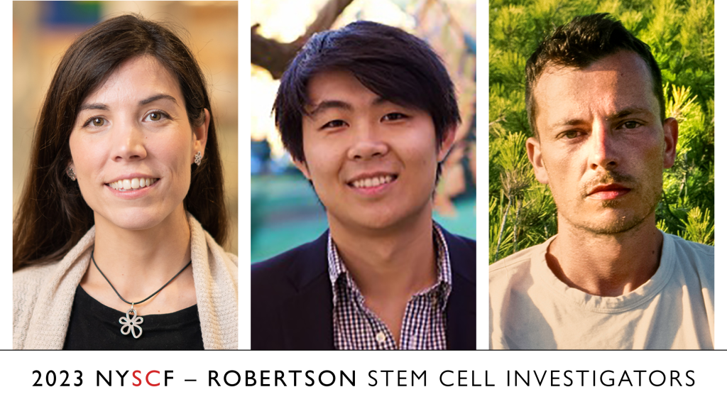 NYSCF Announces 2023 Class of NYSCF – Robertson Investigators - New ...