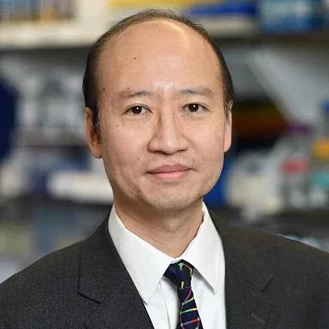 Stephen Tsang, MD, PhD - New York Stem Cell Foundation
