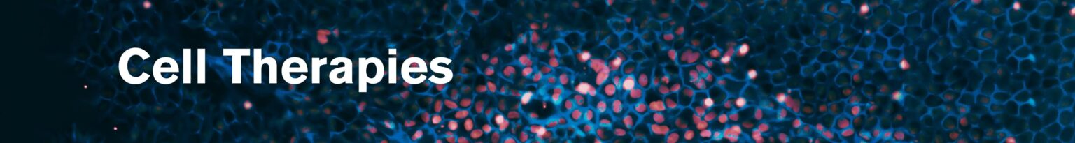 Cell Therapies - New York Stem Cell Foundation